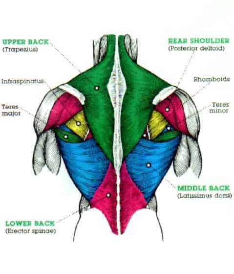 Lower Back Pain Relief Exercises Part 1 | Rock Solid Fitness